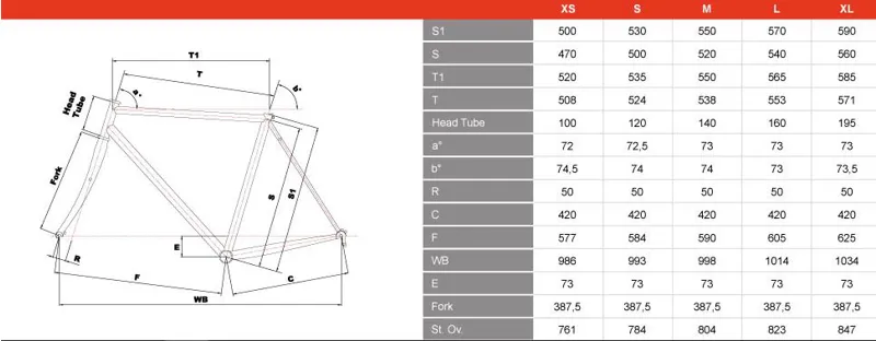 Cinelli Gazzetta Della Strada Grey Touring Bike