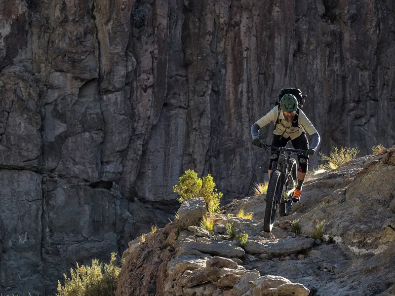 Trek Full Stache 8 2019 29+ Mountain Bike Olive Grey/ Volt Green