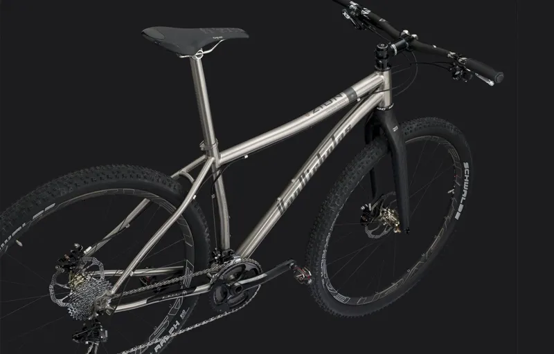 Van Nicholas Zion 29er XTR Disc Titanium Mountain Bike | Buy Onli